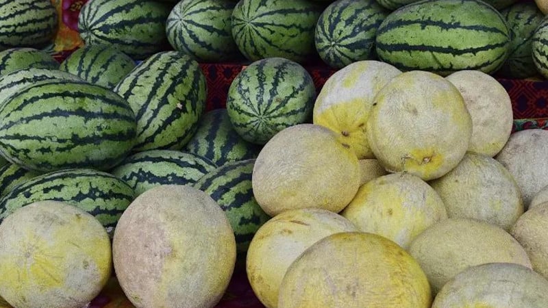 Fun, Weird & Interesting Facts about Xinjiang