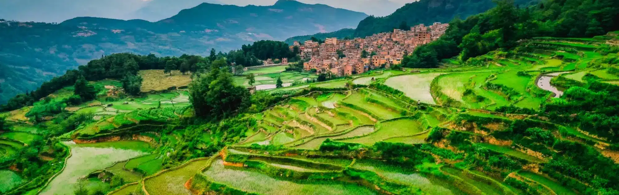 Duoyishu Rice Terraces: Ultimate Guide with Essential Tips