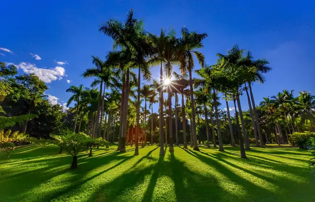 Xishuangbanna Tropical Botanical Garden