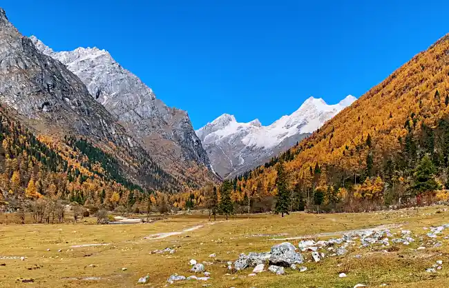 Changping Valley: the Most Classic Valley of Mt. Siguniang