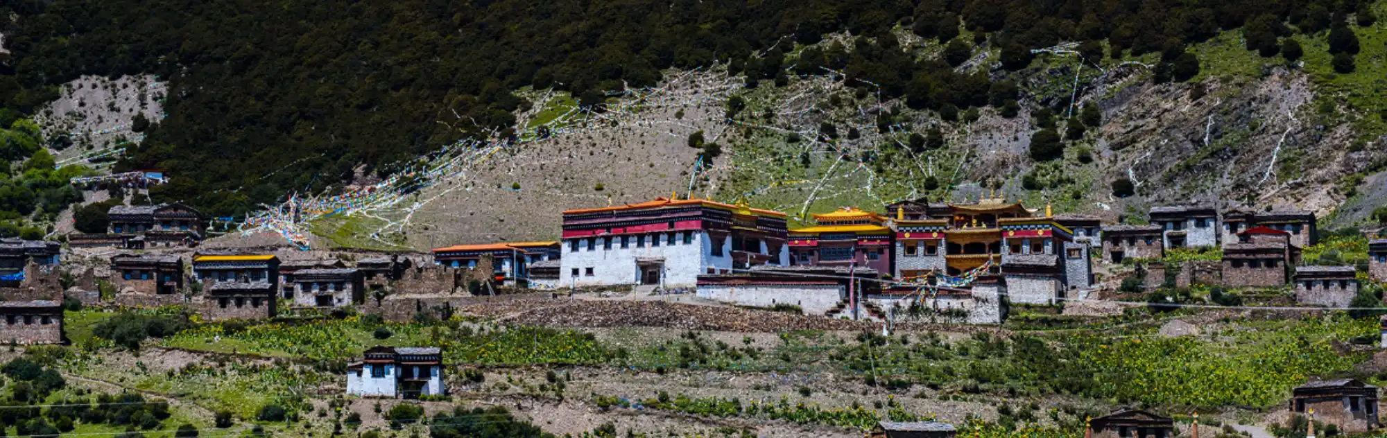 Rewu Temple: The Oldest Sakya Sect Temple in China