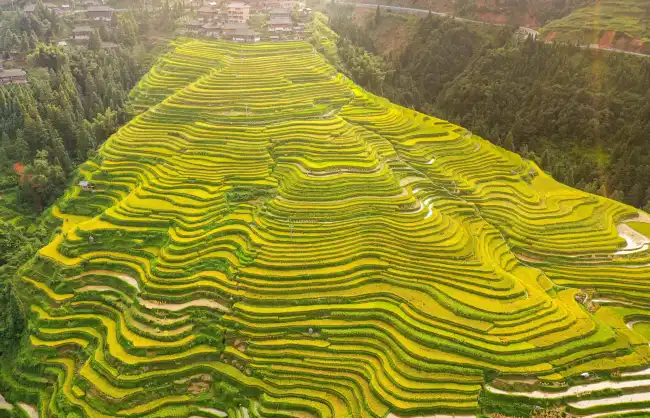 China's 7 Most Breathtaking Rice Terraces: Yuanyang, Longji