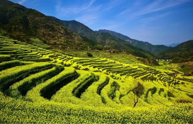 China's 7 Most Breathtaking Rice Terraces: Yuanyang, Longji