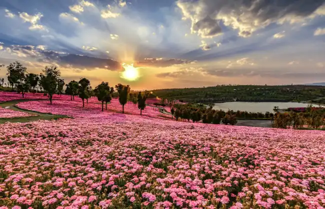 10 Days Classic Yunnan Tour with Mile Exploration