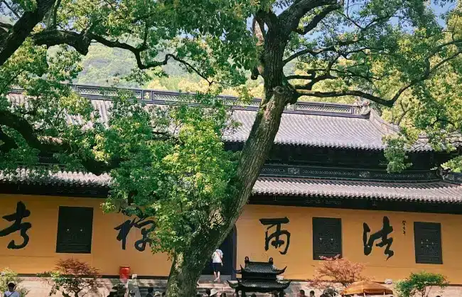 2-Day Putuoshan Buddhist Island Tour from Shanghai