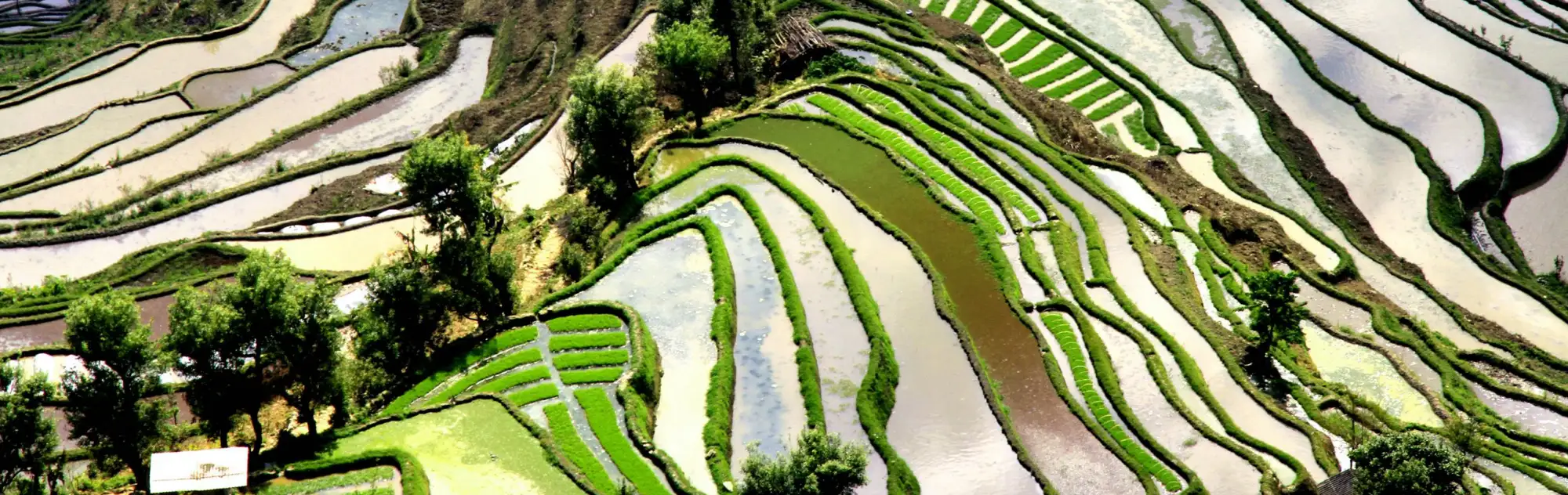 4 Days Yuanyang Rice Terrace Photography Tour from Kunming