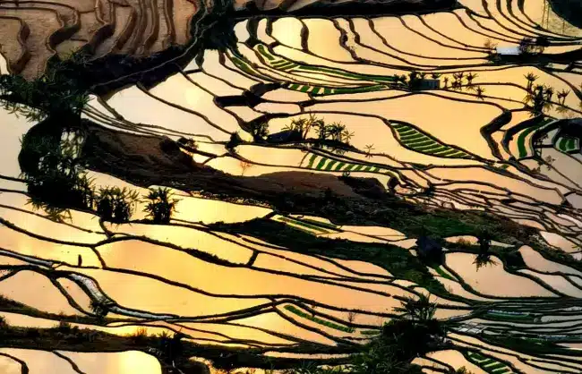 Laohuzui Rice Terraces: Scenic Highlights & Practical Guides