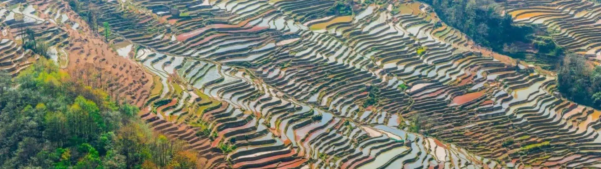 Bada Rice Terraces - Best Site of Yuanyang Rice Terraces