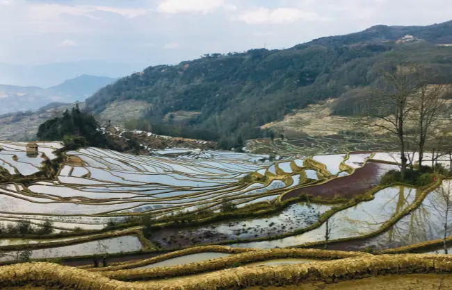 Bada Rice Terraces - Best Site of Yuanyang Rice Terraces