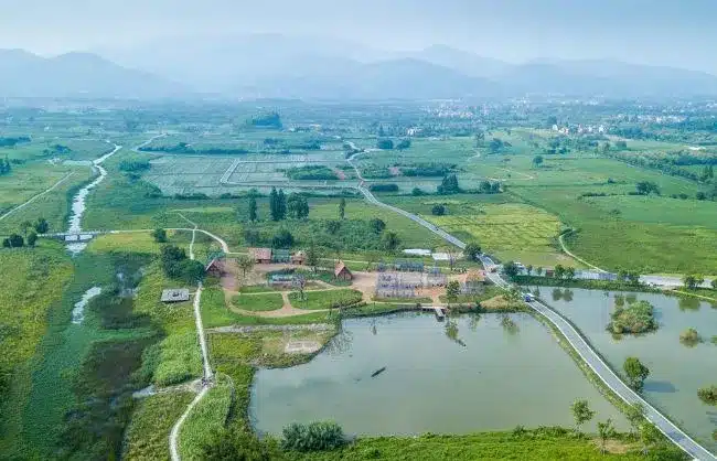 Liangzhu Ruins: China's 5000-Year-Old UNESCO Heritage