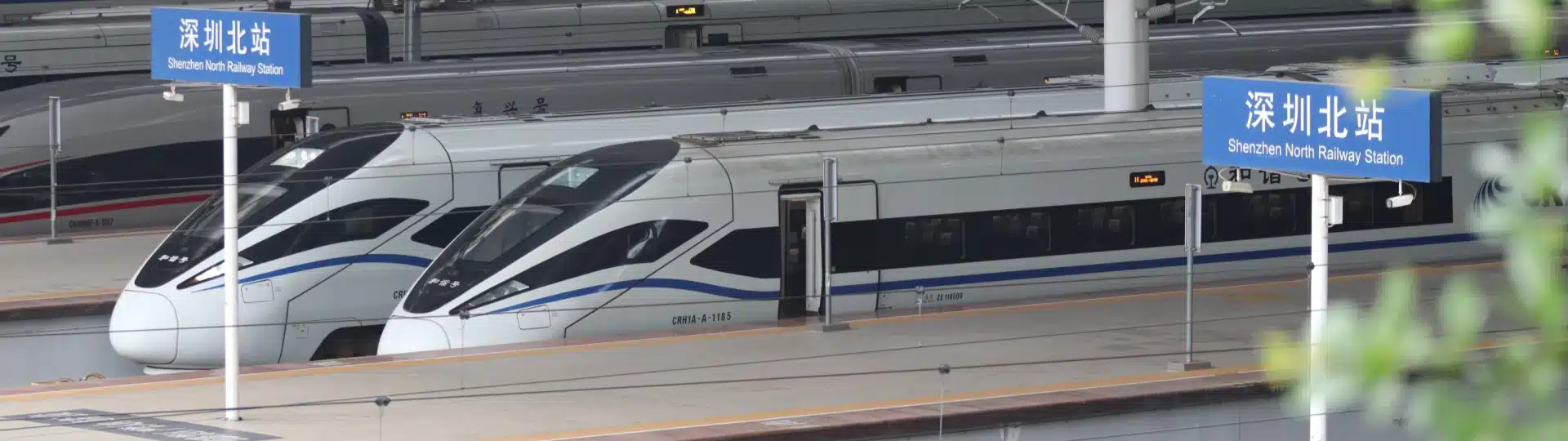 Shenzhen Travel Guide: Transportation, Things to Do