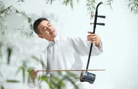 Top 10 Chinese Musical Instruments: Erhu, Guqin, Diz...