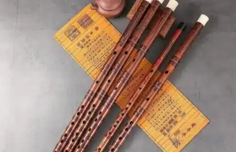 Top 10 Chinese Musical Instruments: Erhu, Guqin, Diz...