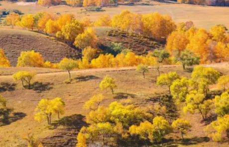 China in September: Weather, Places to Visit & Travel Tips