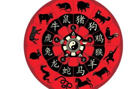 1991 Chinese Zodiac: 2025 & 2026 Horoscope for Metal Goat