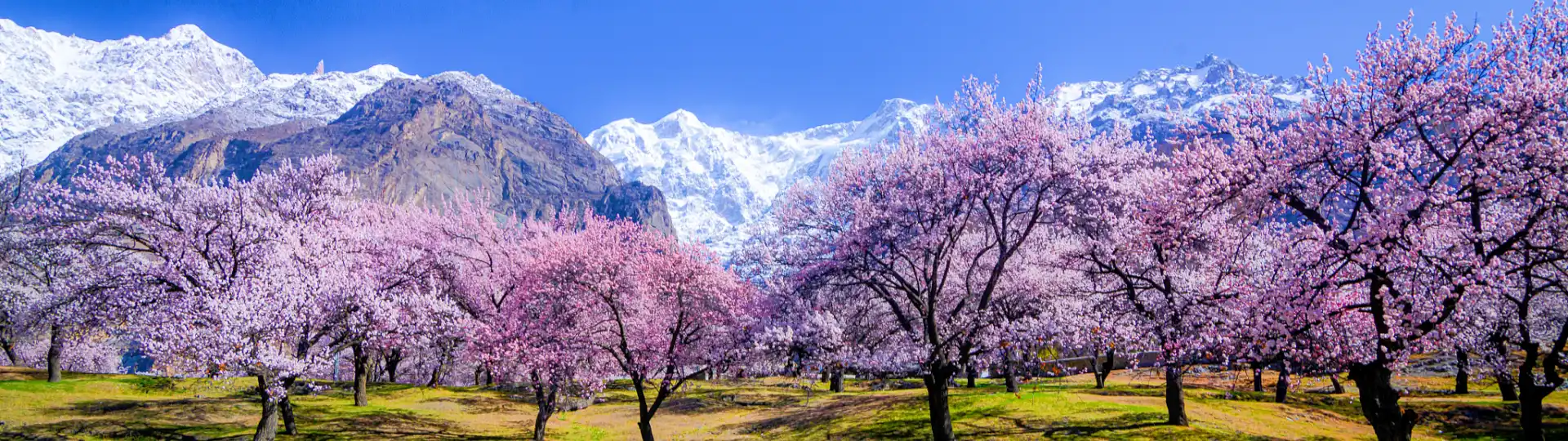 Lhasa to Nyingchi Tours: Tibet Tours to Lhasa & Nyingchi