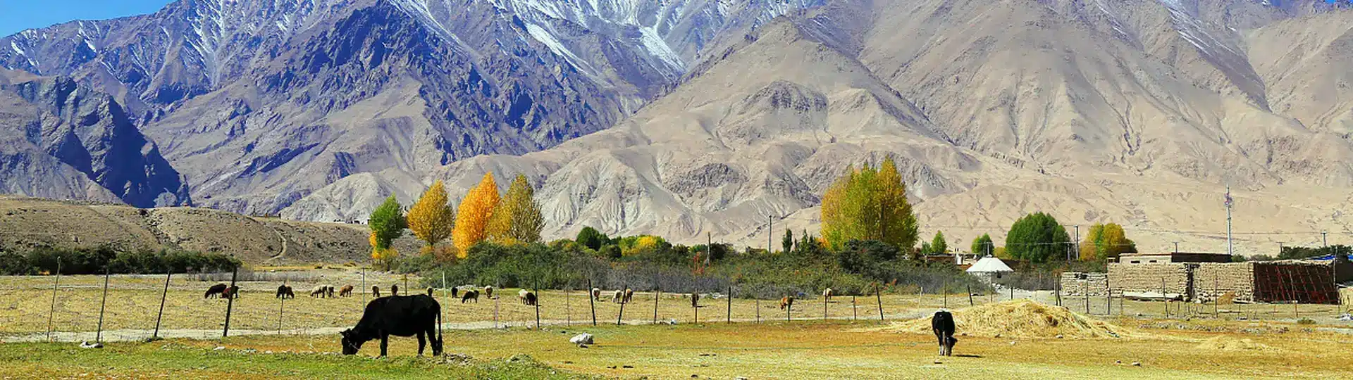 11 Days Xinjiang Silk Road Tour from Kashgar to Xi'an